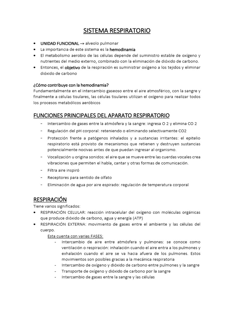 Sistema Respirato | Descargar gratis PDF | Sistema respiratorio | Pulmón