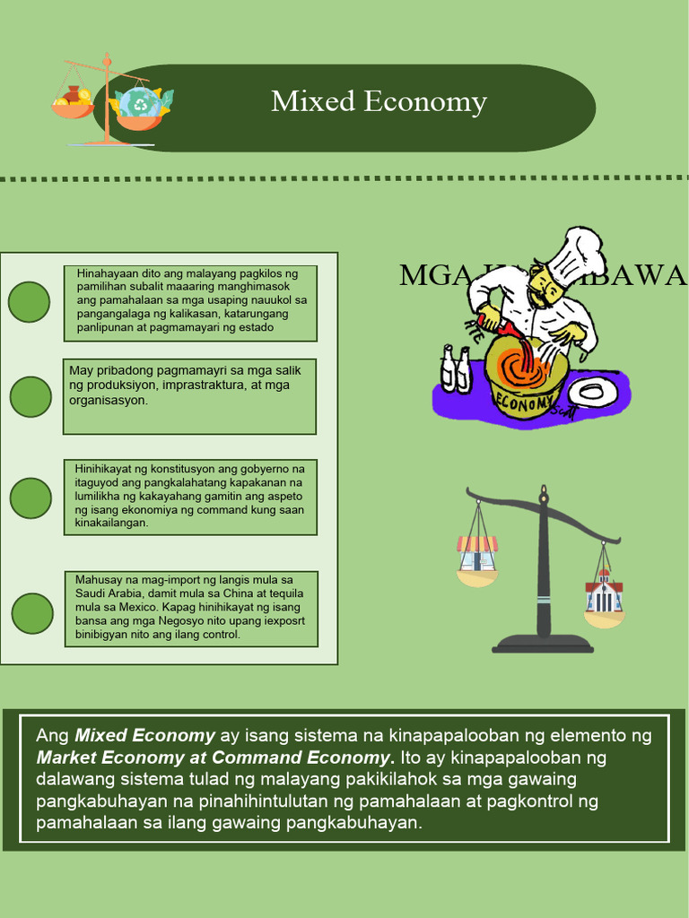 Mixed Economy | PDF