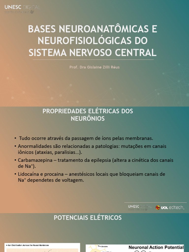Material - Aula 3 - Gislaine Zilli Réus | PDF | Memória | Depressão