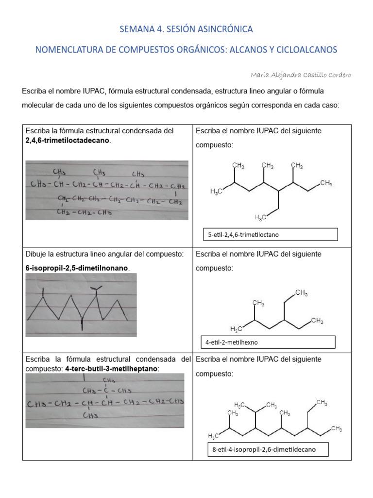 Estructura Lineoangular en Compuestos Orgánicos | PDF