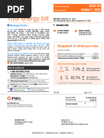 Sample PSEG Bill | PDF