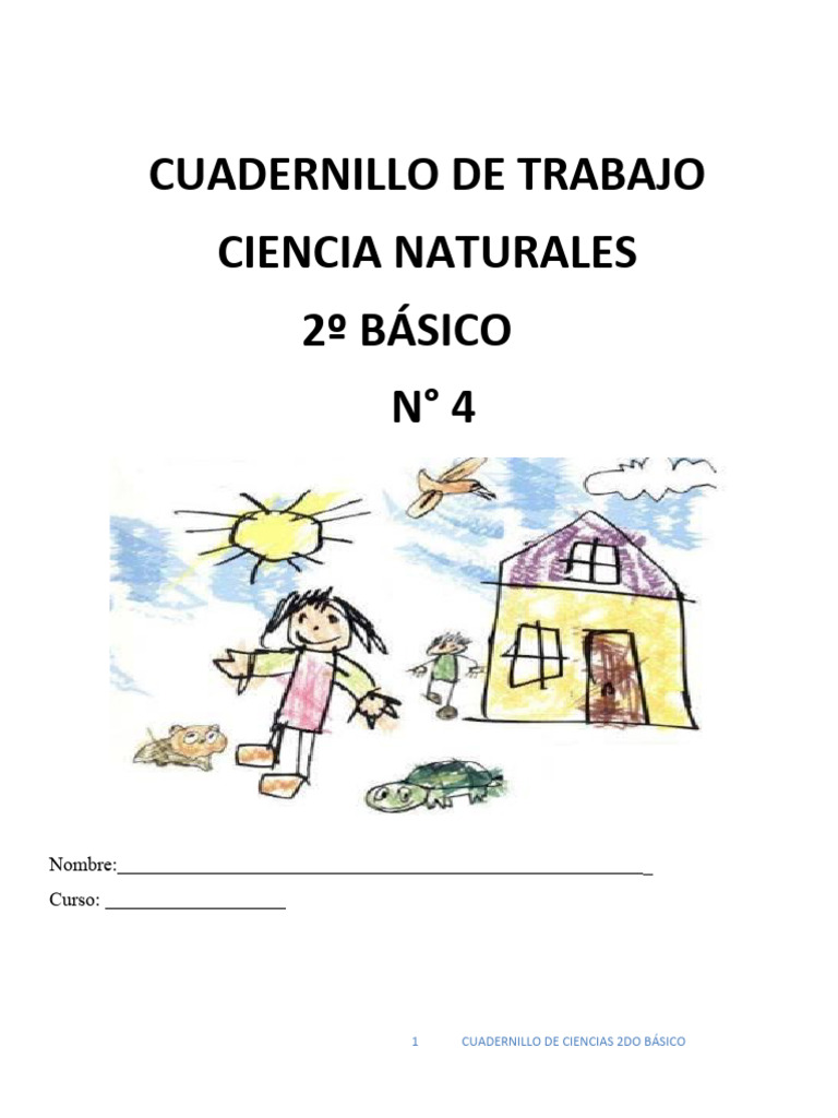 Cuadernillo N 4 Ciencias 2 Basico Junio Descargar Gratis Pdf