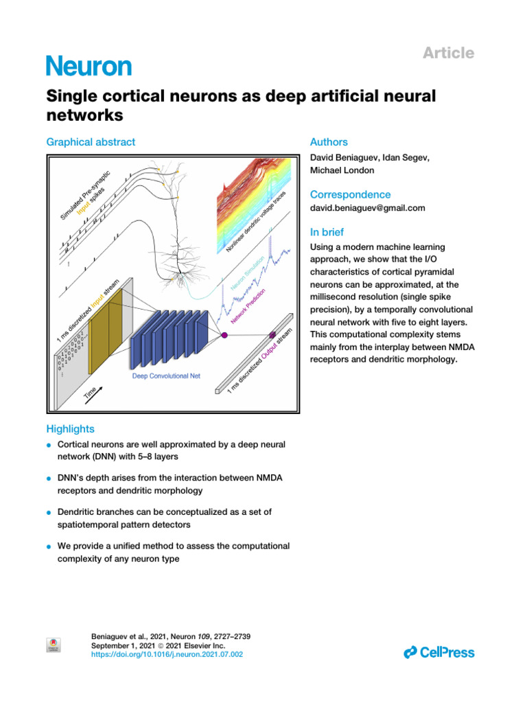 Single Cortical Neurons As Deep Artificial Neural Networks | PDF | Deep Learning | Action Potential