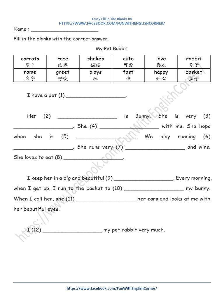 E-Essay Fill in The Blanks-04-My Pet Rabbit | PDF