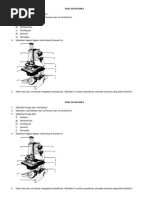 Latihan Soal Sistem Pencernaan Manusia Kelas 8 | PDF | Kesehatan Holistik