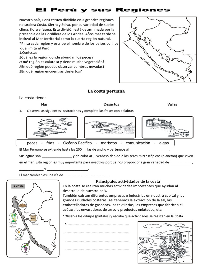 Fichas-P.s-Regiones Del Perú | PDF | Selva | Perú