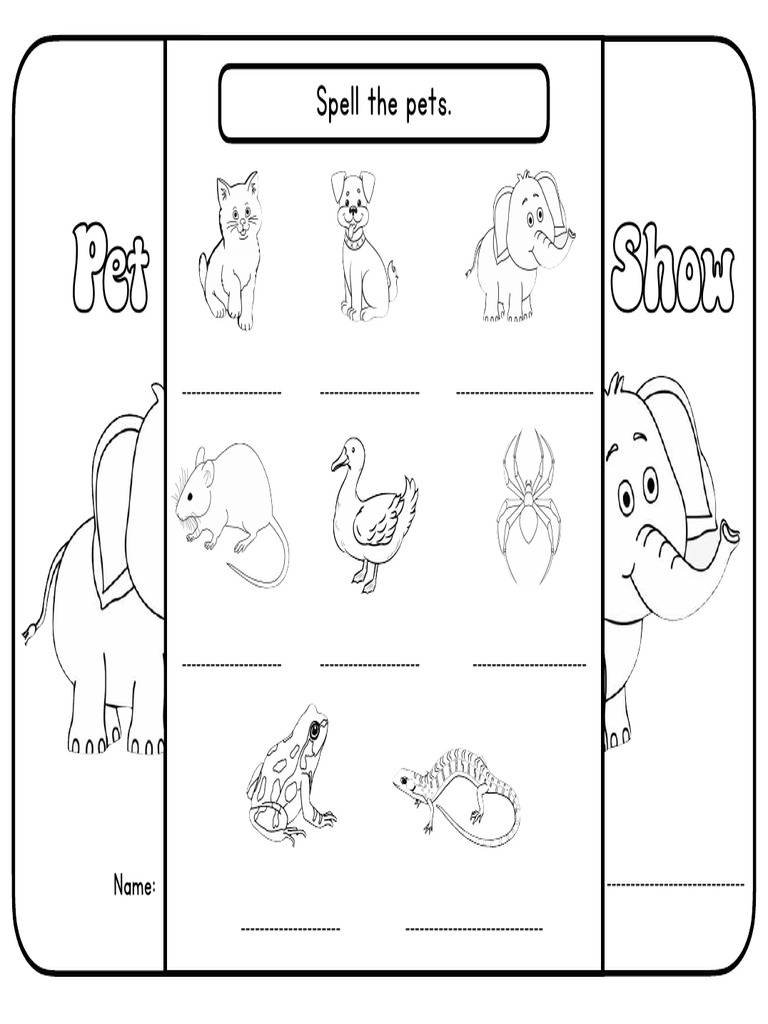 Pet Booklet | PDF