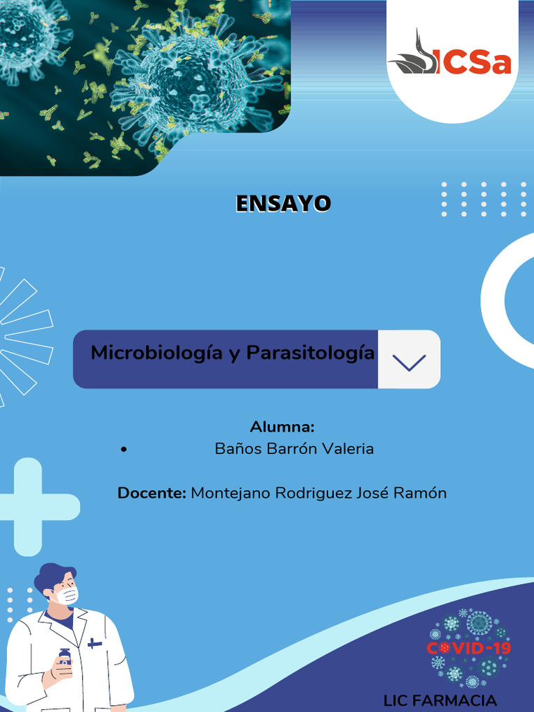 Práctica 2 - Micro | PDF