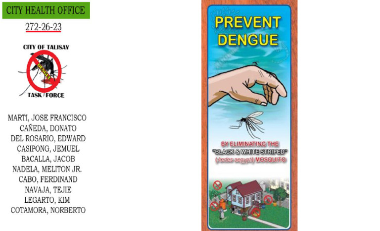 Leaflets Dengue Cover | PDF