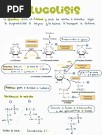 Zimogenos o Proenzimas | PDF | Salud y bienestar