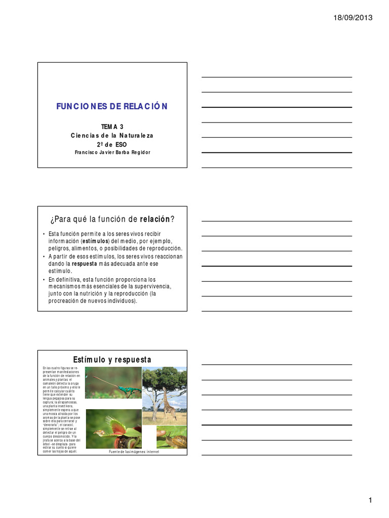 03 - Funciones de Relacion x3 | Descargar gratis PDF | Gusto | Sistema musculoesquelético humano