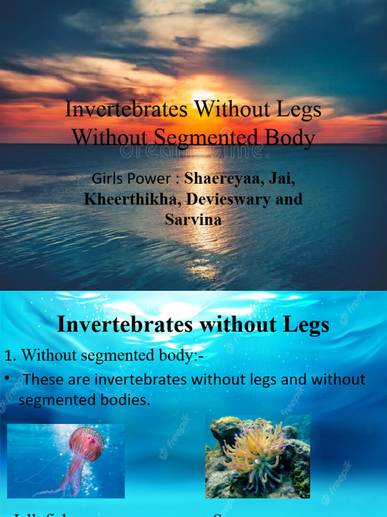 Invertebrates Without Legs Without Segmented Body | PDF