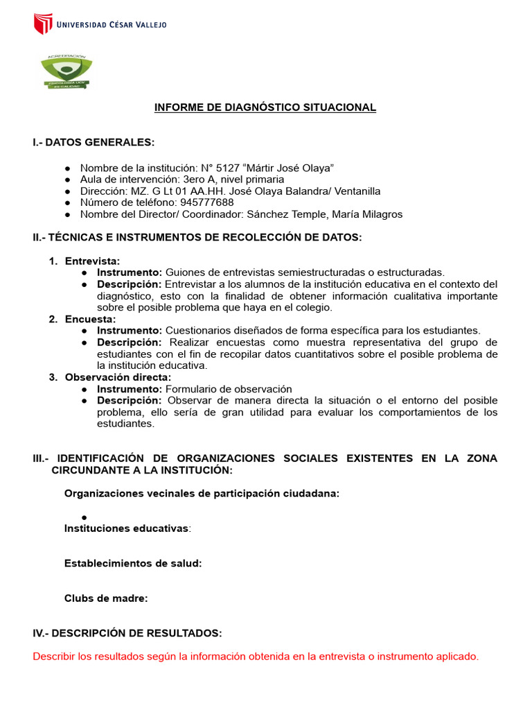 Esquema Informe Diagnóstico Situacional | PDF