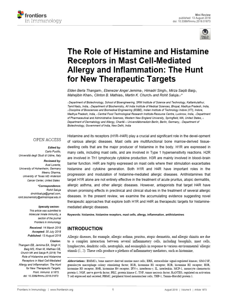Histamine Receptors in Allergy Therapy | PDF | T Helper Cell | Inflammation