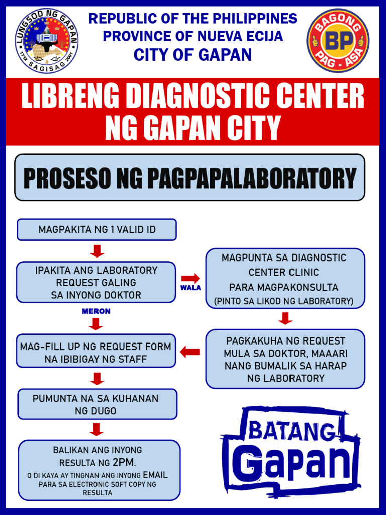 Lab Flow Chart | PDF