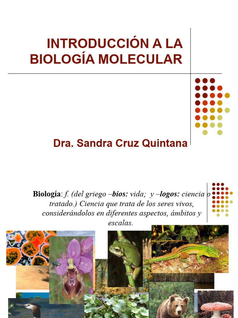1-Introducción a La Biología | PDF | Biología | Organismos