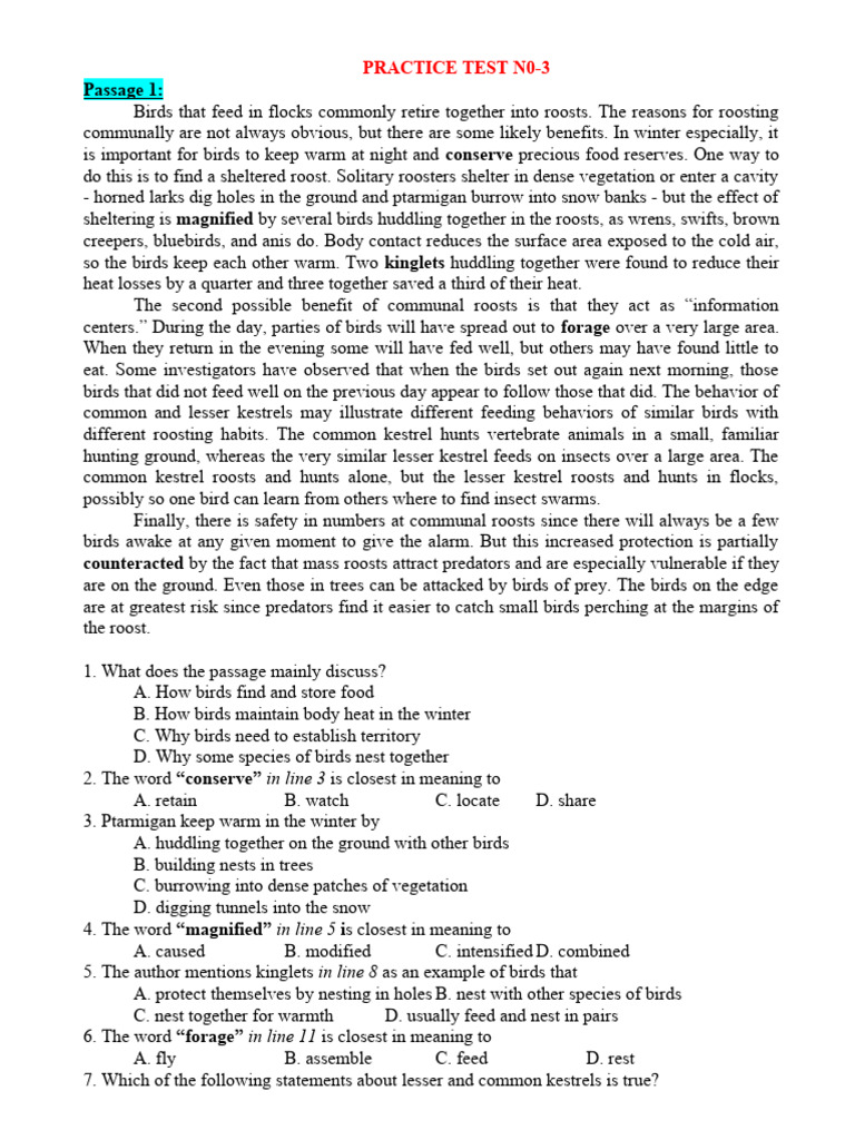 N03 Practice Test | PDF