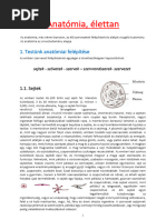 Az Emberi Test Felépítése Anatómia Ápolás | PDF