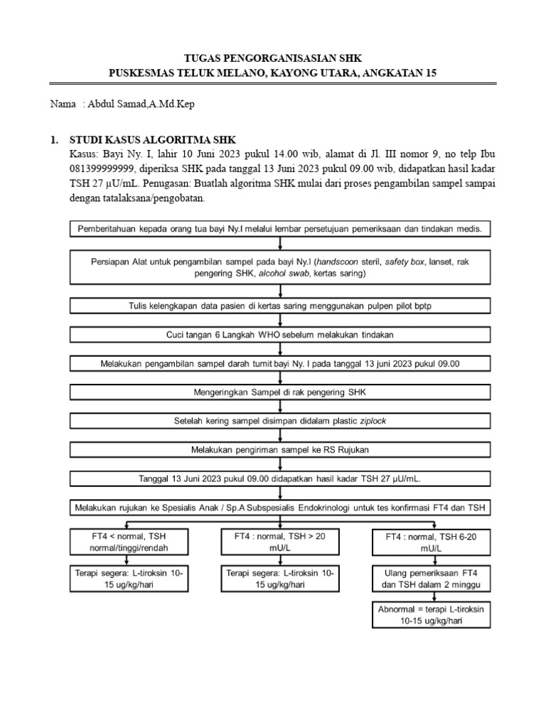 Tugas Pengorganisasian SHK | PDF