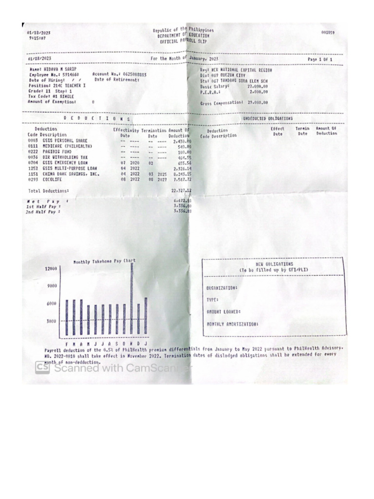 January Payslip | PDF