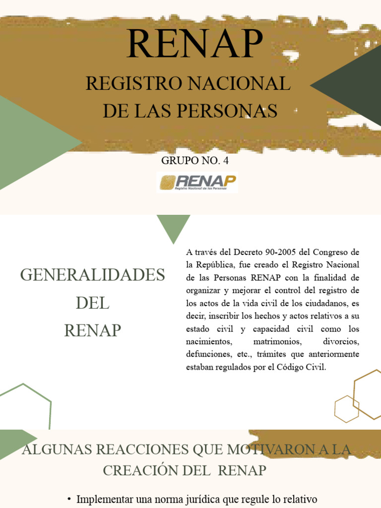 RENAP | PDF