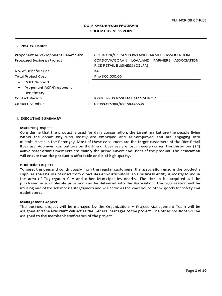 DILP - Group Project Proposal - Business Plan For Informal | PDF