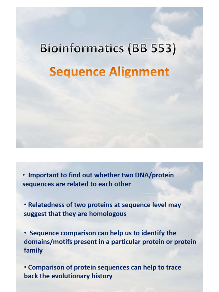 PB Bioinfo L3 2023 | PDF