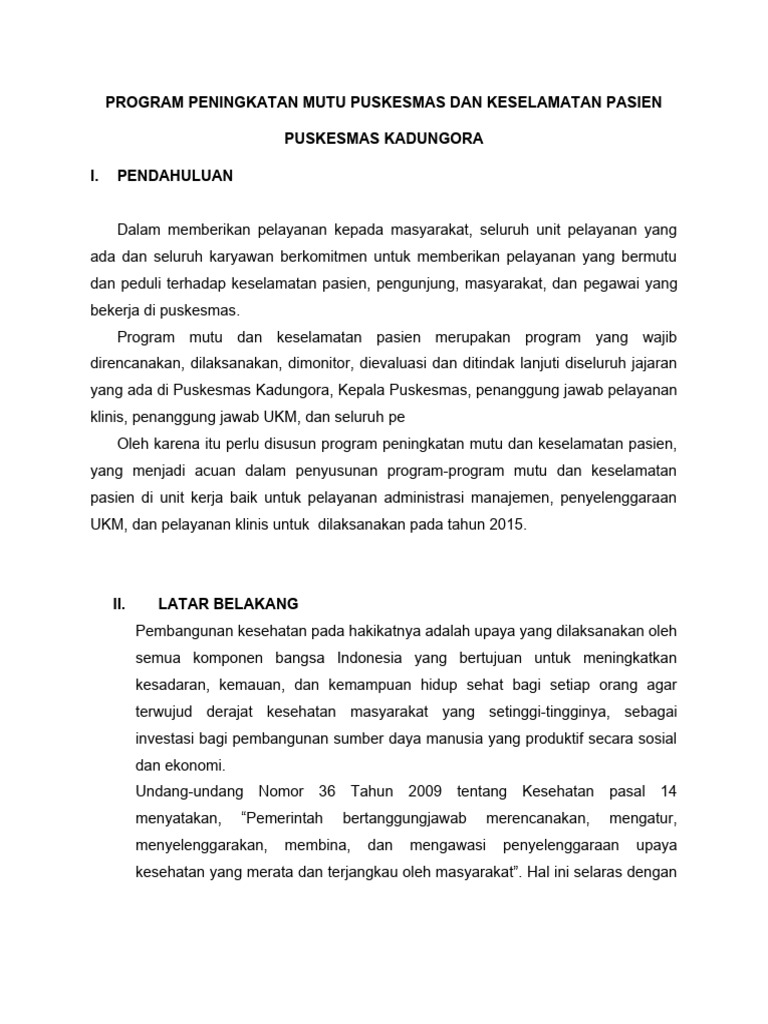 CONTOH_PROGRAM_PENINGKATAN_MUTU_PUSKESMA | PDF