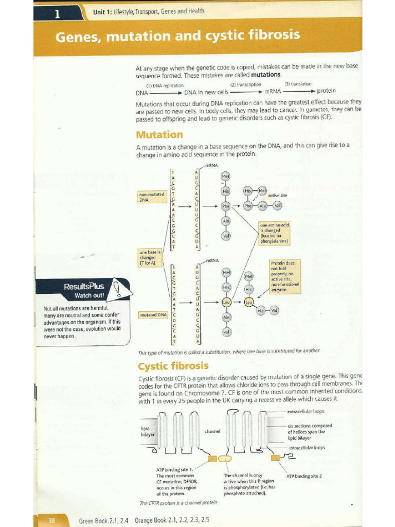 Cystic Fibrosis (Print Out) | PDF