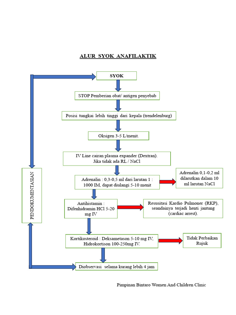 Alur Syok Anafilaktik | PDF