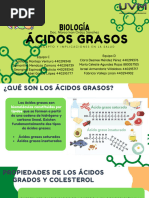 Zimogenos o Proenzimas | PDF | Salud y bienestar