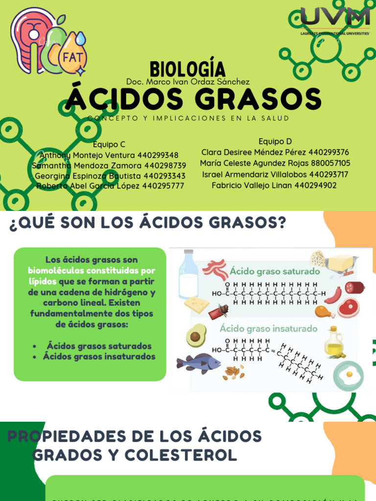Acidos Grasos | PDF | Antioxidante | Ácido graso