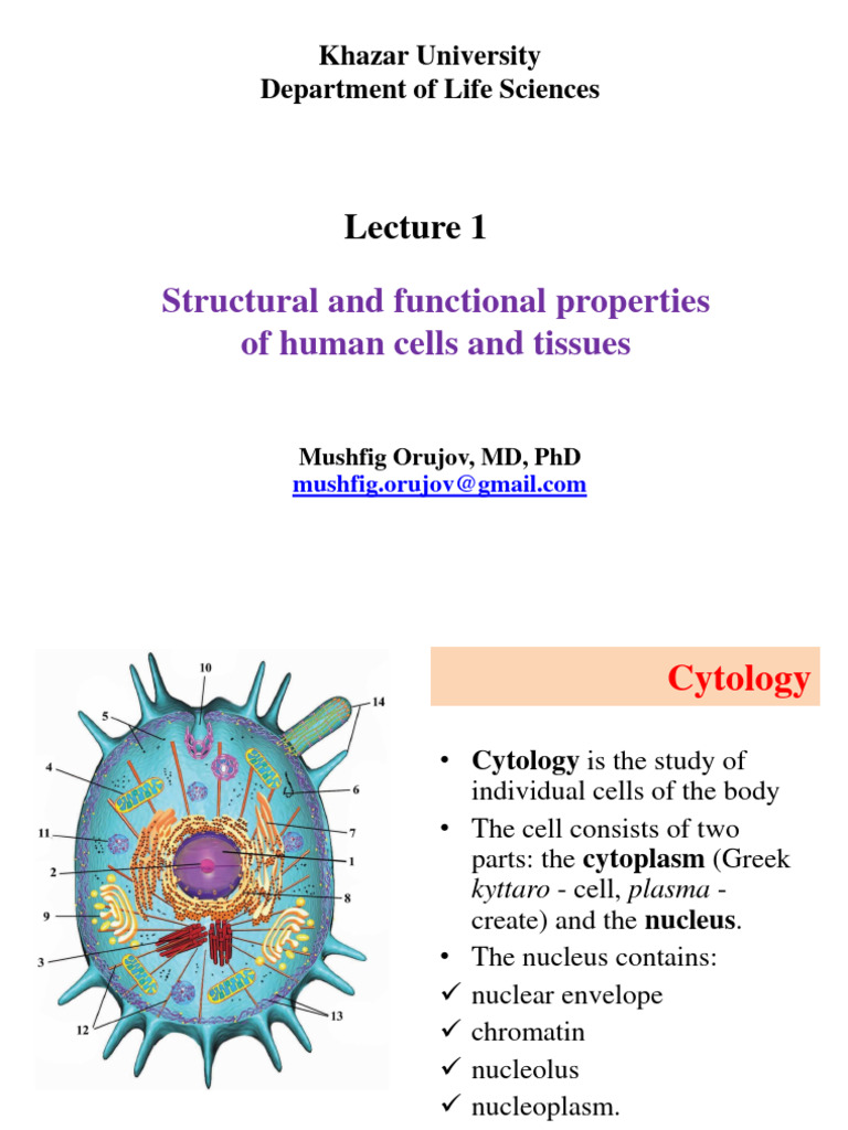 Lecture 1 Life Science Cells and Tissues | PDF