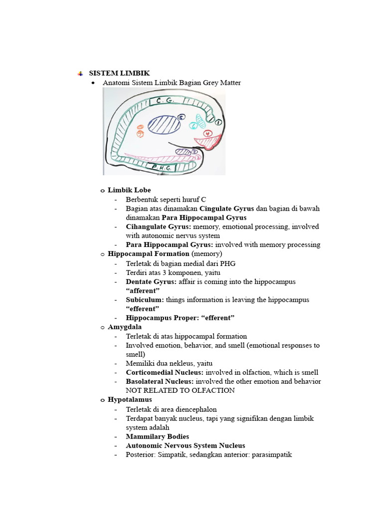 Notes - Sistem Limbik | PDF