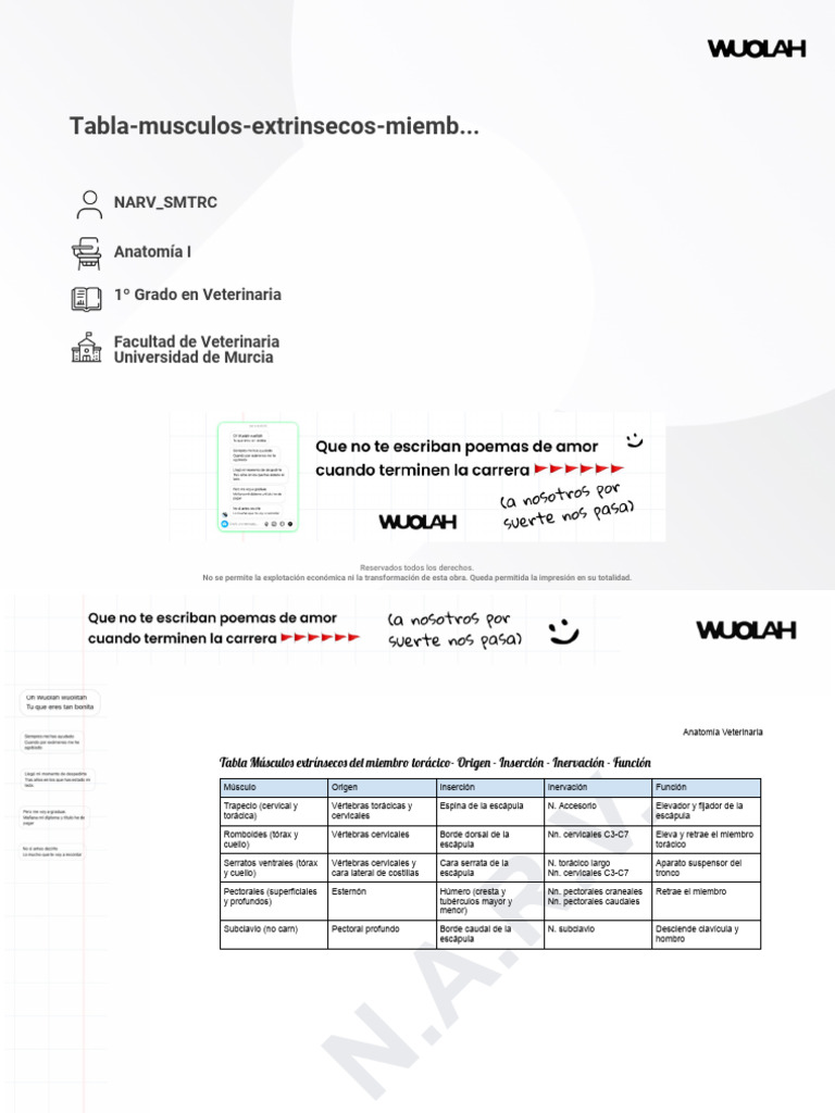 Wuolah Free Tabla Musculos Extrinsecos Miembro Toracico | Descargar ...