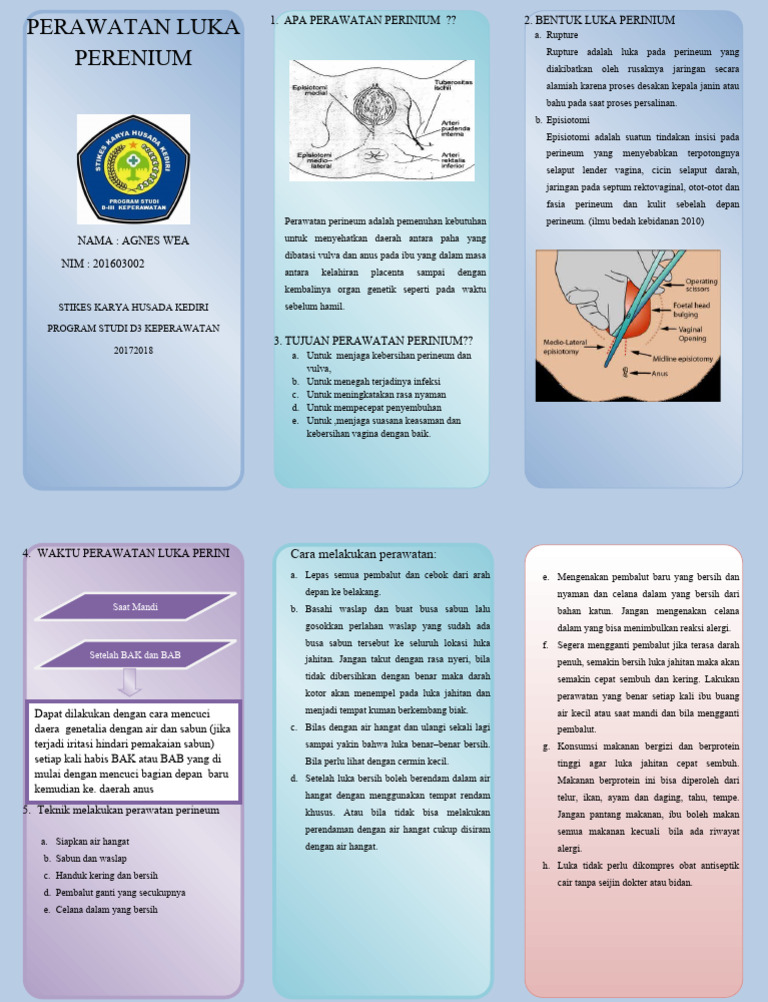 Leaflet P | PDF