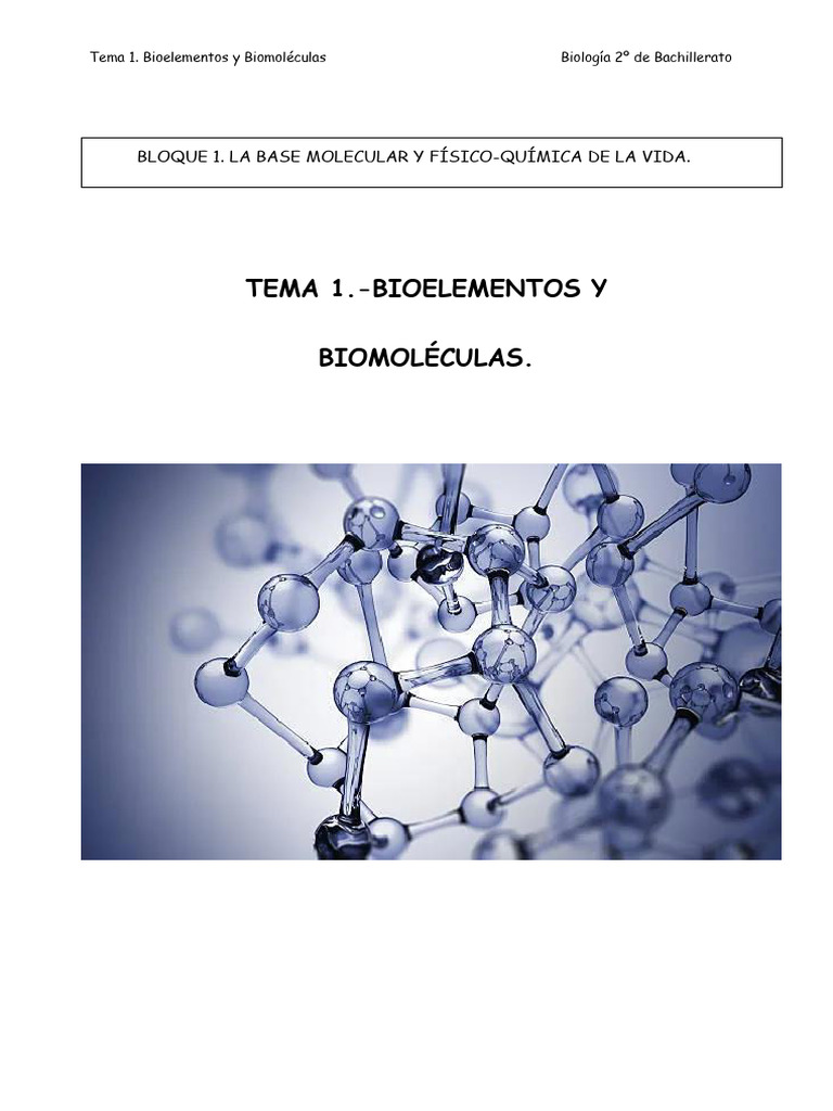 Tema 1 Bioelementos y BiomolÃ©culas - Compressed | PDF