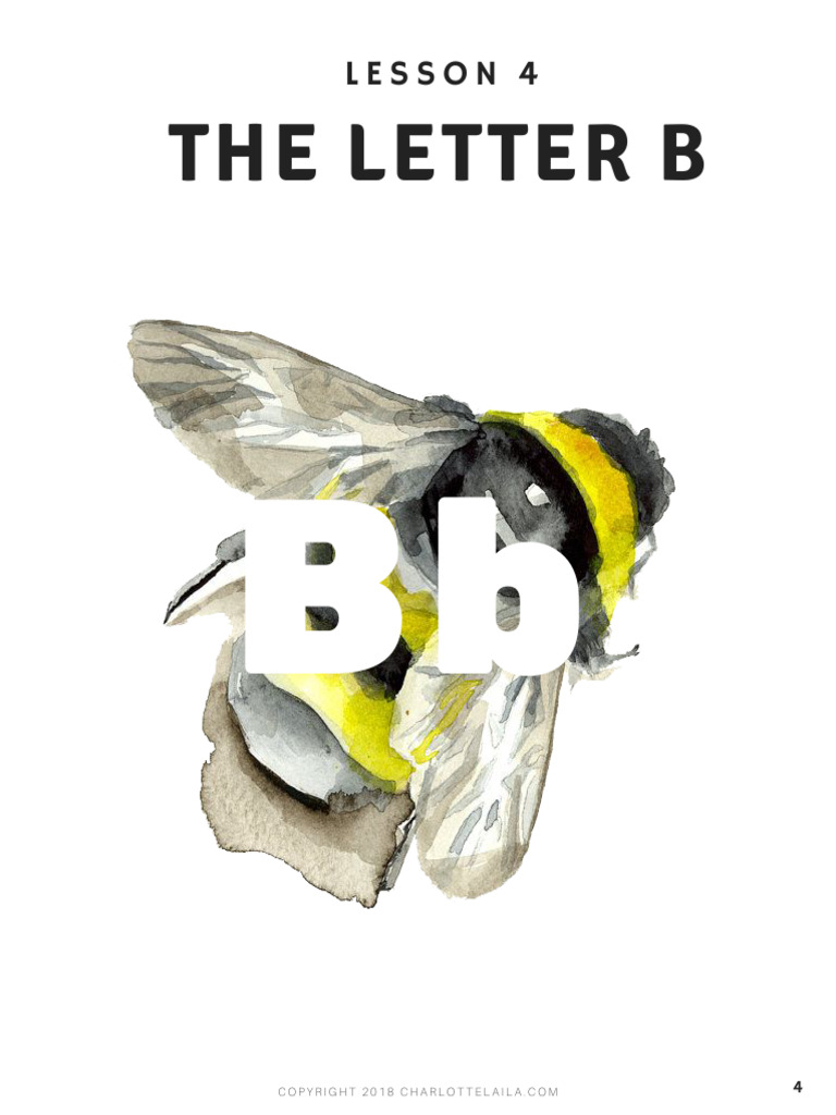 The Letter B | PDF