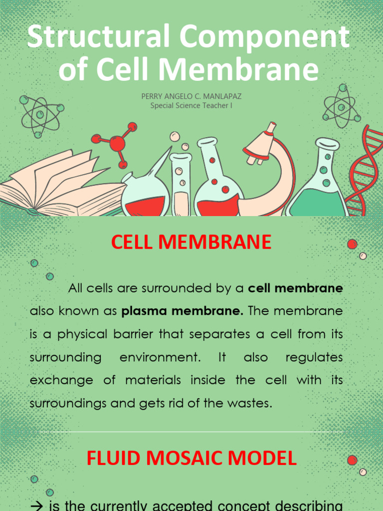 Cell Membrane | PDF | Cell Membrane | Phospholipid