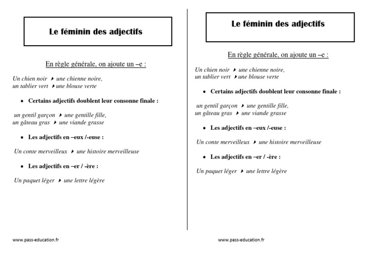Féminin Des Adjectifs Ce1 Leçon | PDF
