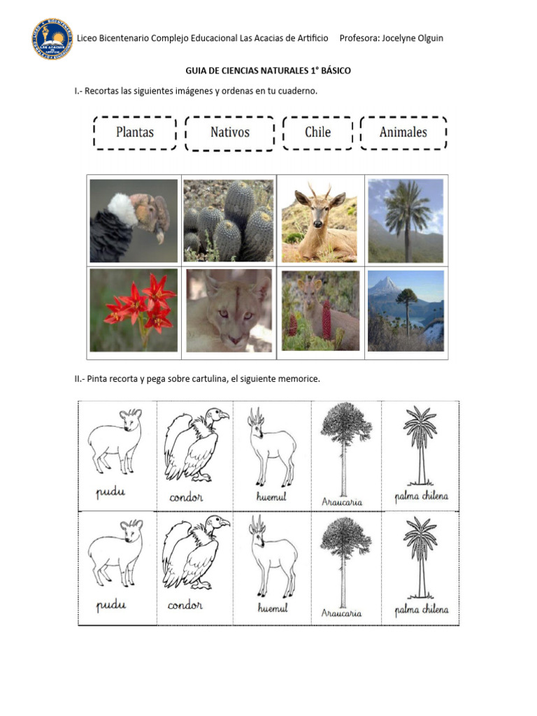 Guia Plantas y Animales Autóctonos | PDF