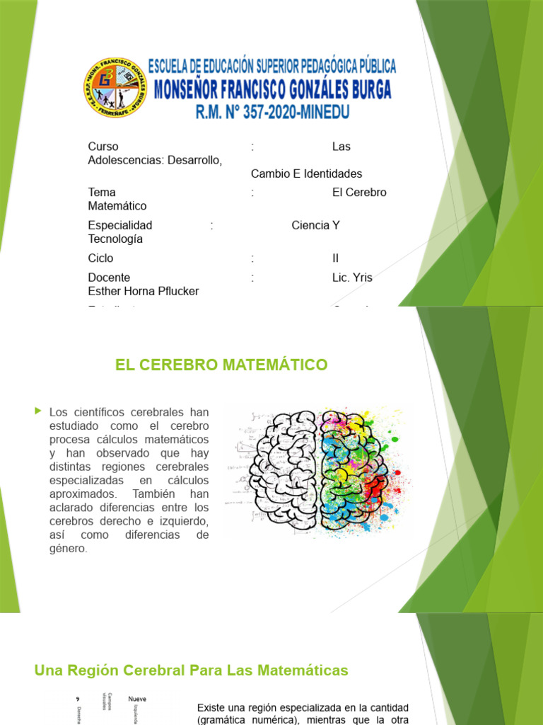 El Cerebro Matemático y su Función | PDF