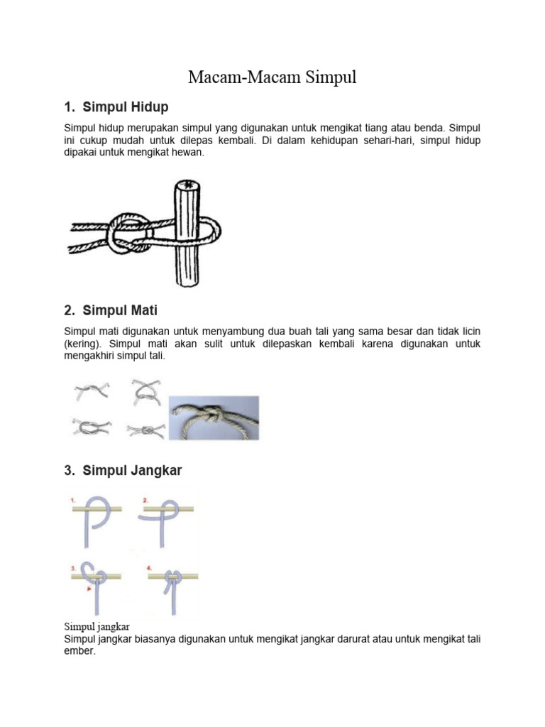 Jenis-Jenis Simpul | PDF