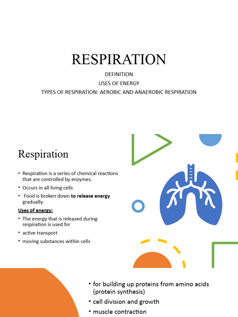 Respiration Steps