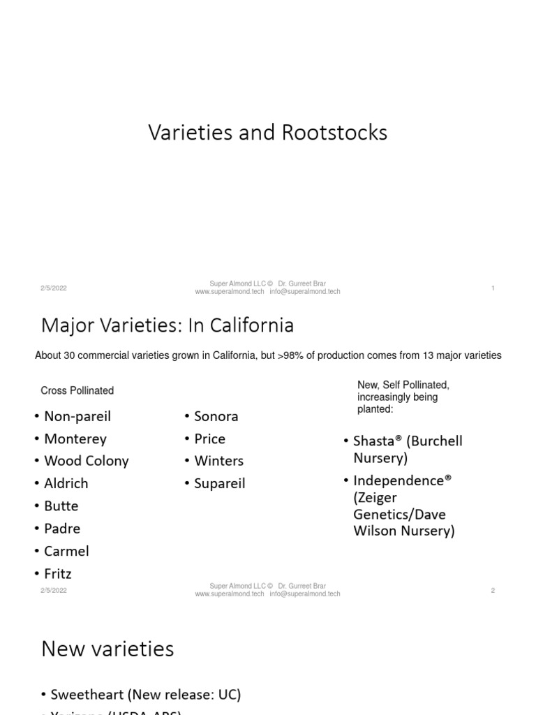 Almond Varieties and Rootstocks | PDF | Peach | Almond