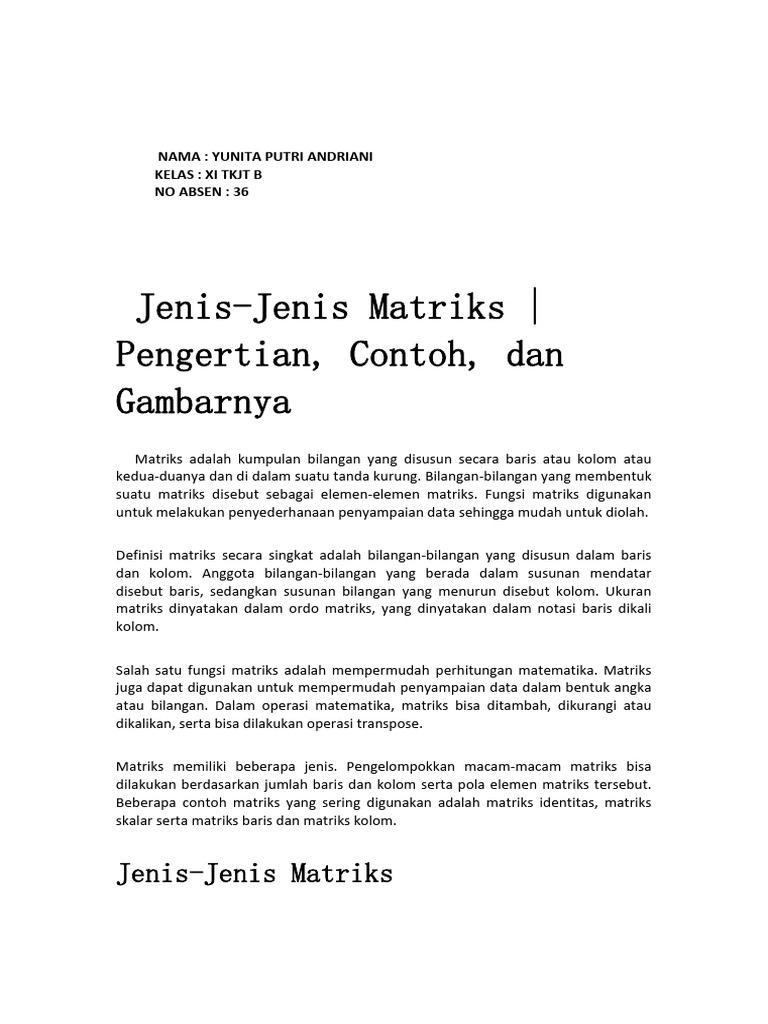 Jenis-Jenis Matriks dan Contohnya | PDF