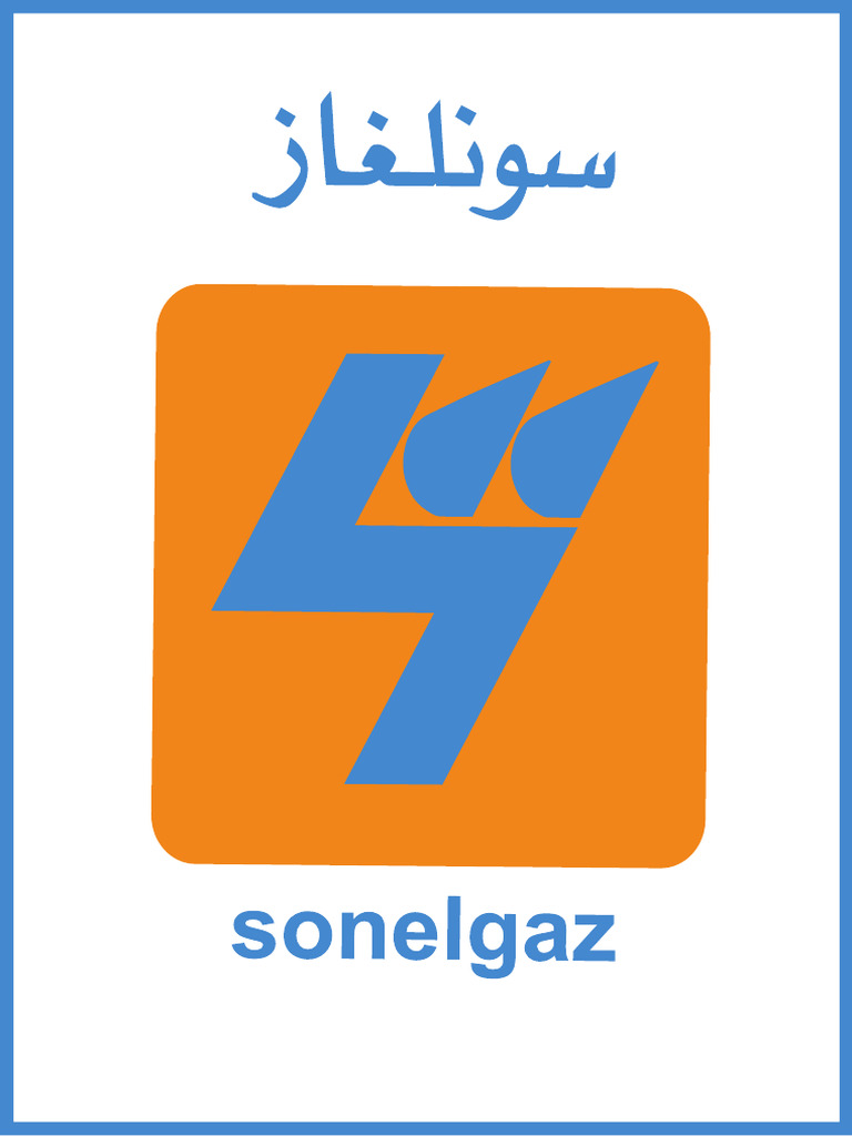Sonelgaz Paneau | PDF