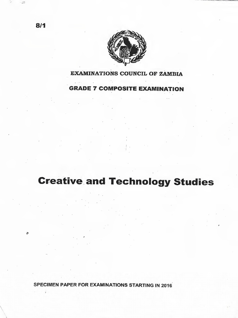 Grade 7 Past Papers | PDF