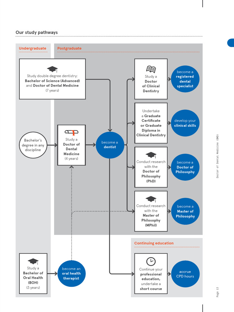 Dentistry Study Pathways | PDF
