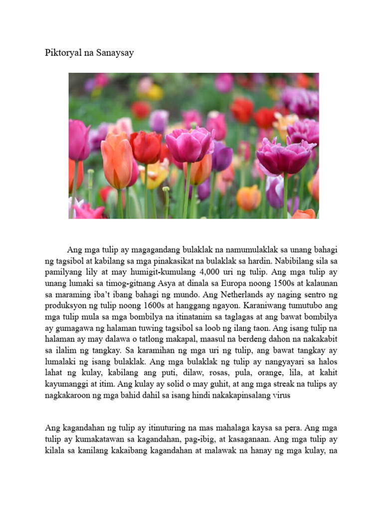 Tulips | PDF